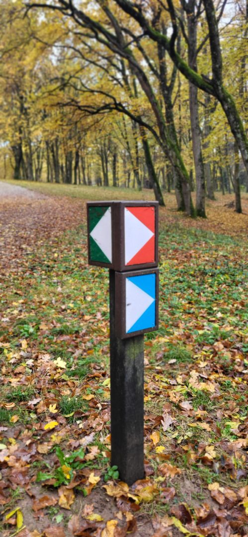 Le parc des étangs de Mathan, un des poumons verts de Genas ⋆ Le Loft ...